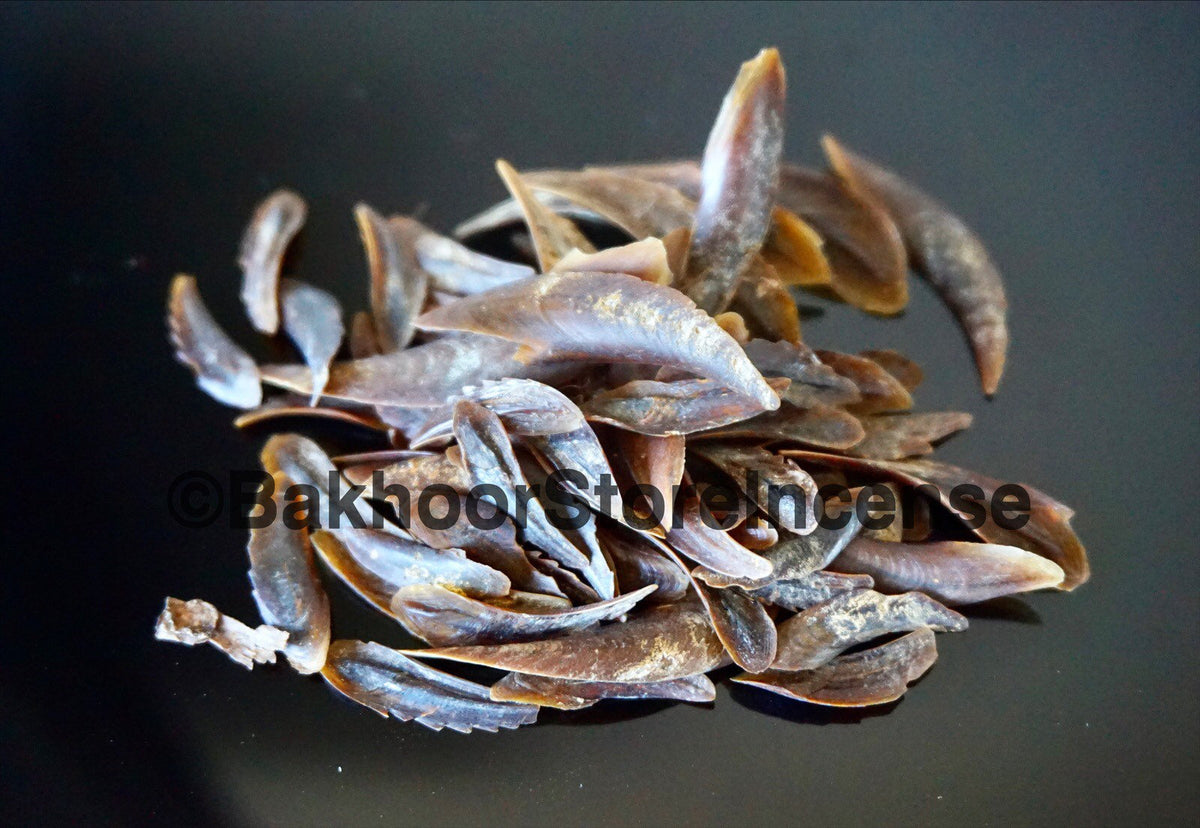 Operculum Onycha Grade A shells | Bakhoor Store Incense