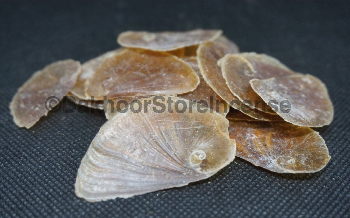 Onycha-Operculum Murex -A traditional and Biblical incense ingredient ...