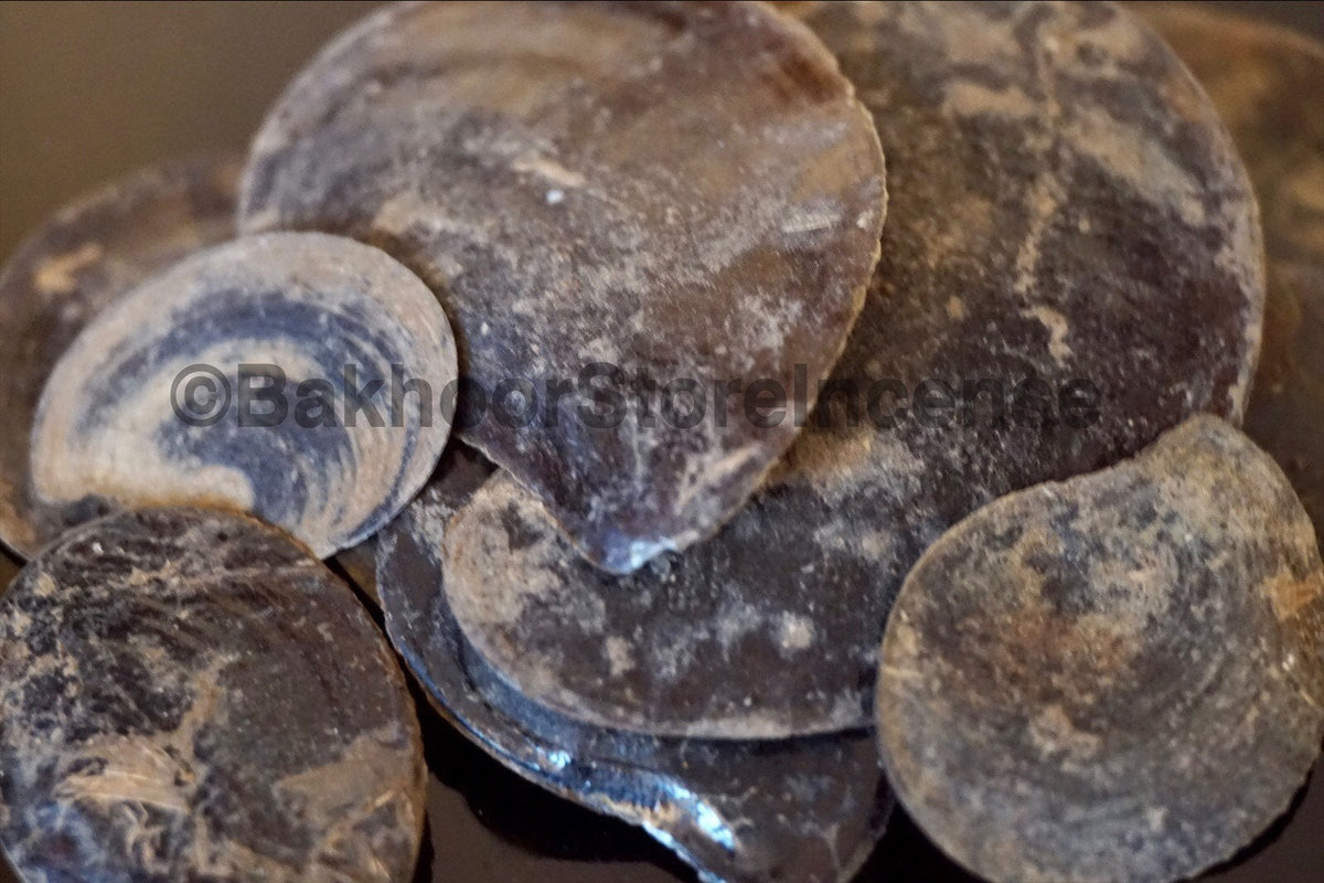 Onycha-Operculum Murex | Bakhoor Store Incense