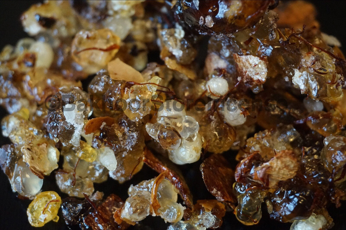 Bakhoor Saffron Loban - High quality handmade Zafraan incense with fra ...